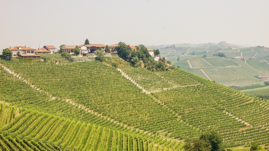 Monaco Voice Luxury Guide: Best of Piedmont - Monaco Voice